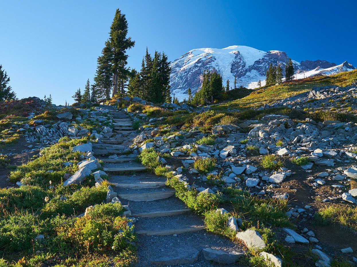 El bucle del sendero Skyline en el Parque Nacional del Monte Rainier - DisfrutAventura