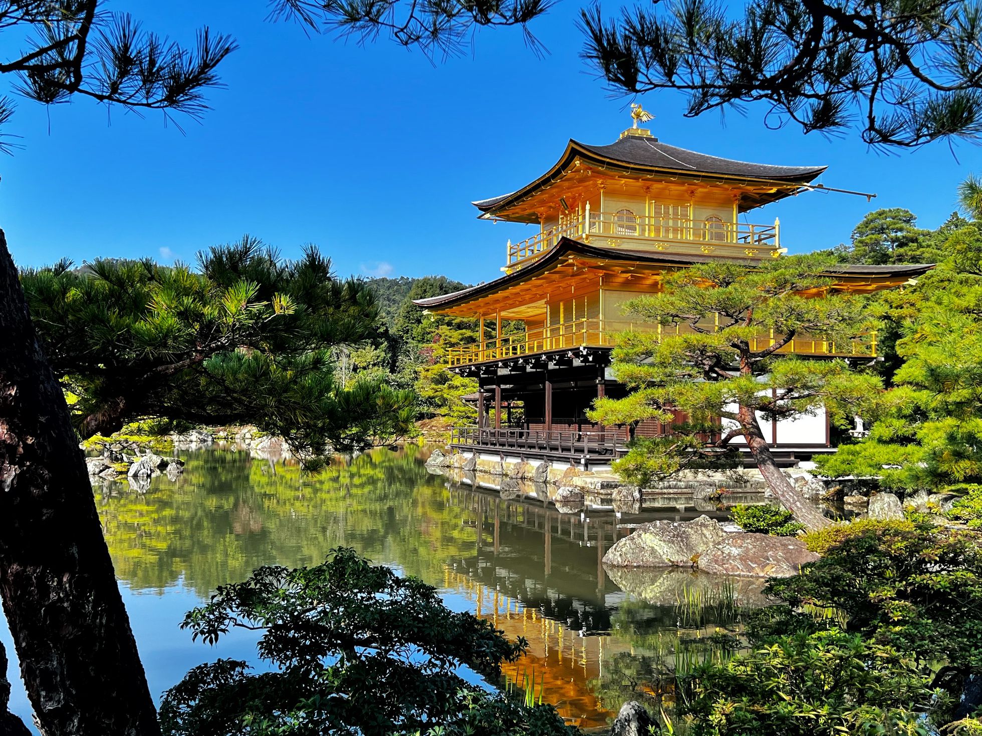 ¿qué hace falta para viajar a japón? - DisfrutAventura